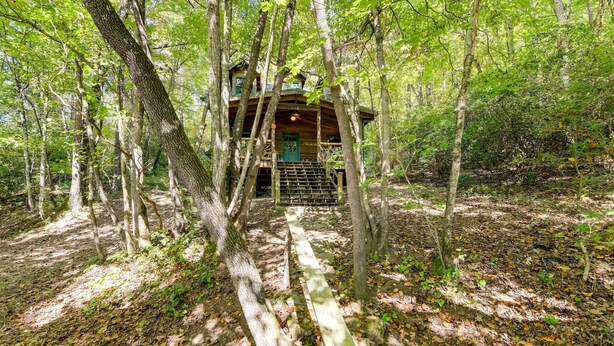 Uma cabana de madeira rodeada por árvores numa floresta.