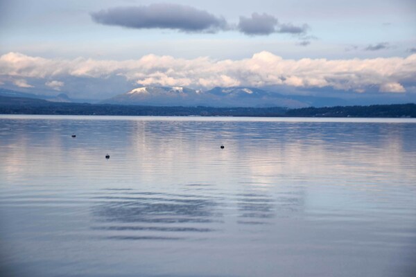 Unique Camano Cabin W/ Mountain + Water Views - Langley