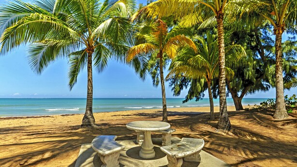 Uma praia com mesa, bancos, palmeiras e o oceano.