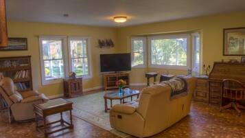 Televisor, lareira, leitor de DVD