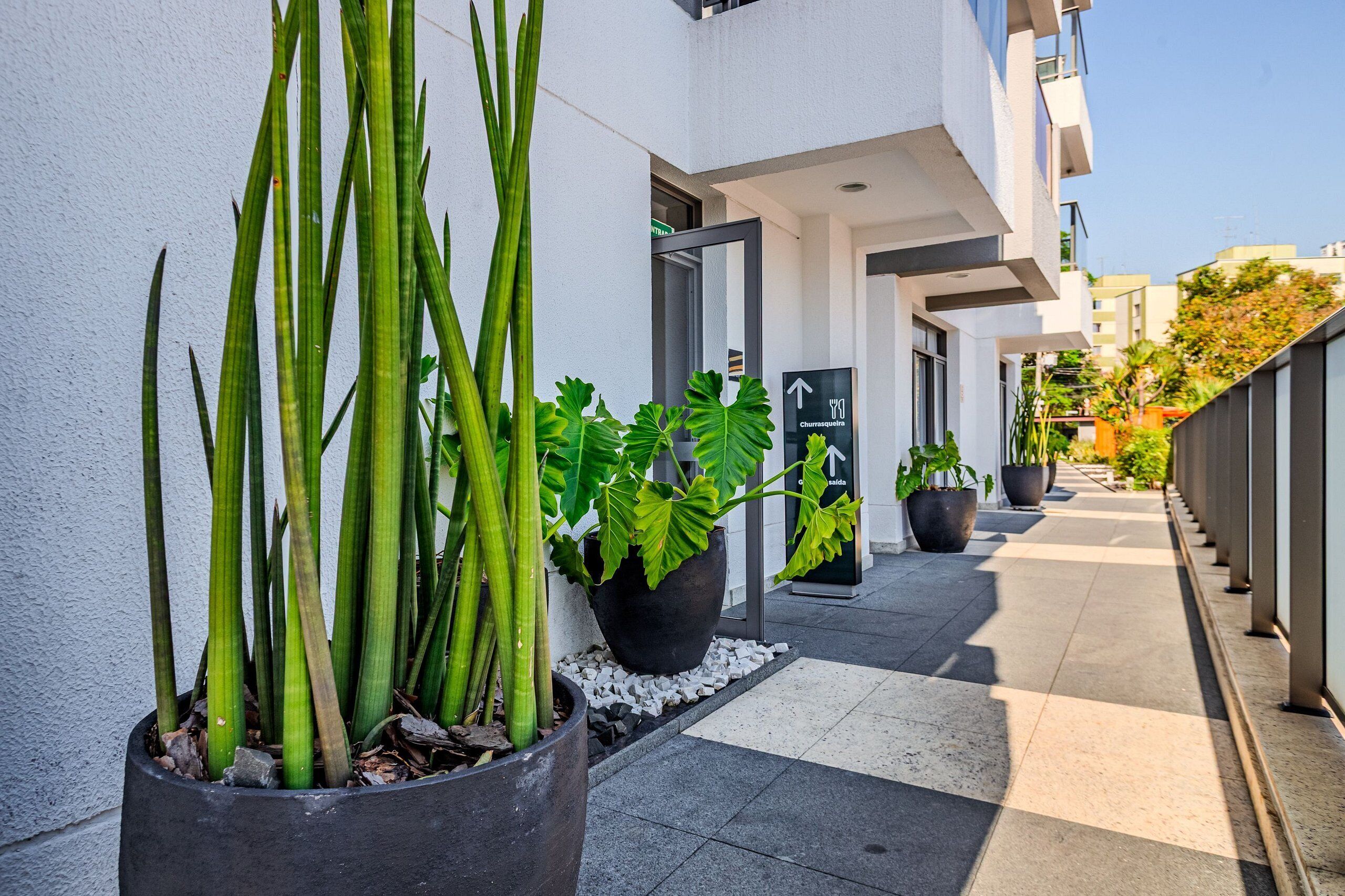 Um edifício moderno com design limpo e minimalista, apresentando um caminho estreito ladeado por plantas em vasos e uma vista desobstruída da entrada.