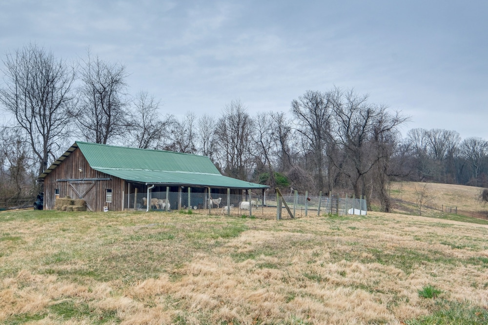 Nature Getaway W/ On-site Trails, 17 Mi To Dc! - Rockville, MD
