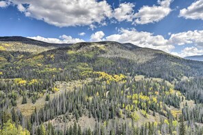 Paisagem montanhosa com floresta densa e céus límpidos.