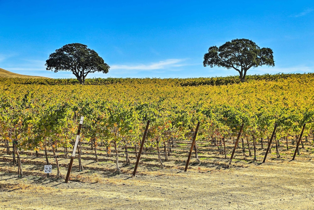 Pleasant Valley Wine Trail Home - Near Paso Robles - San Miguel, CA