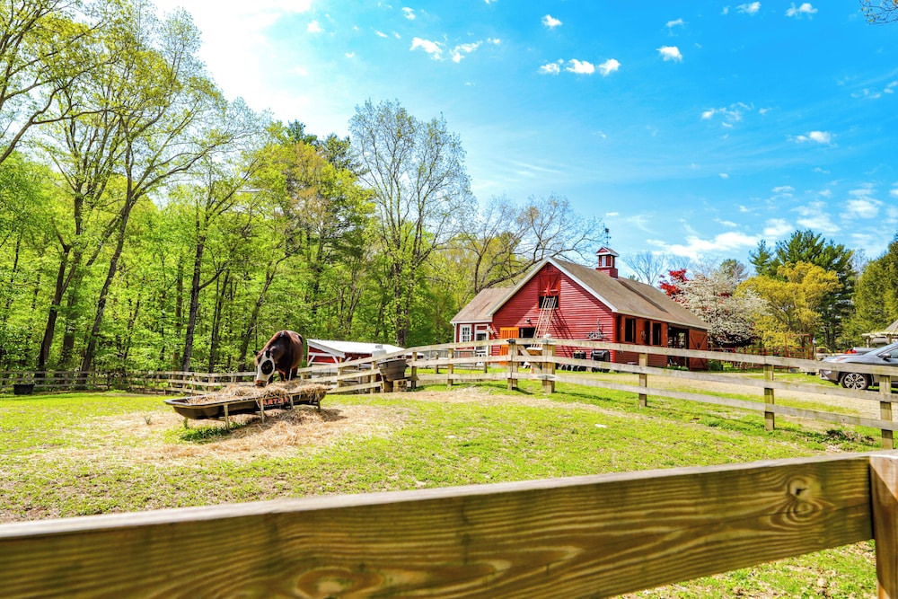 Killingly Barnyard Studio In Wine Country! - Thompson, CT