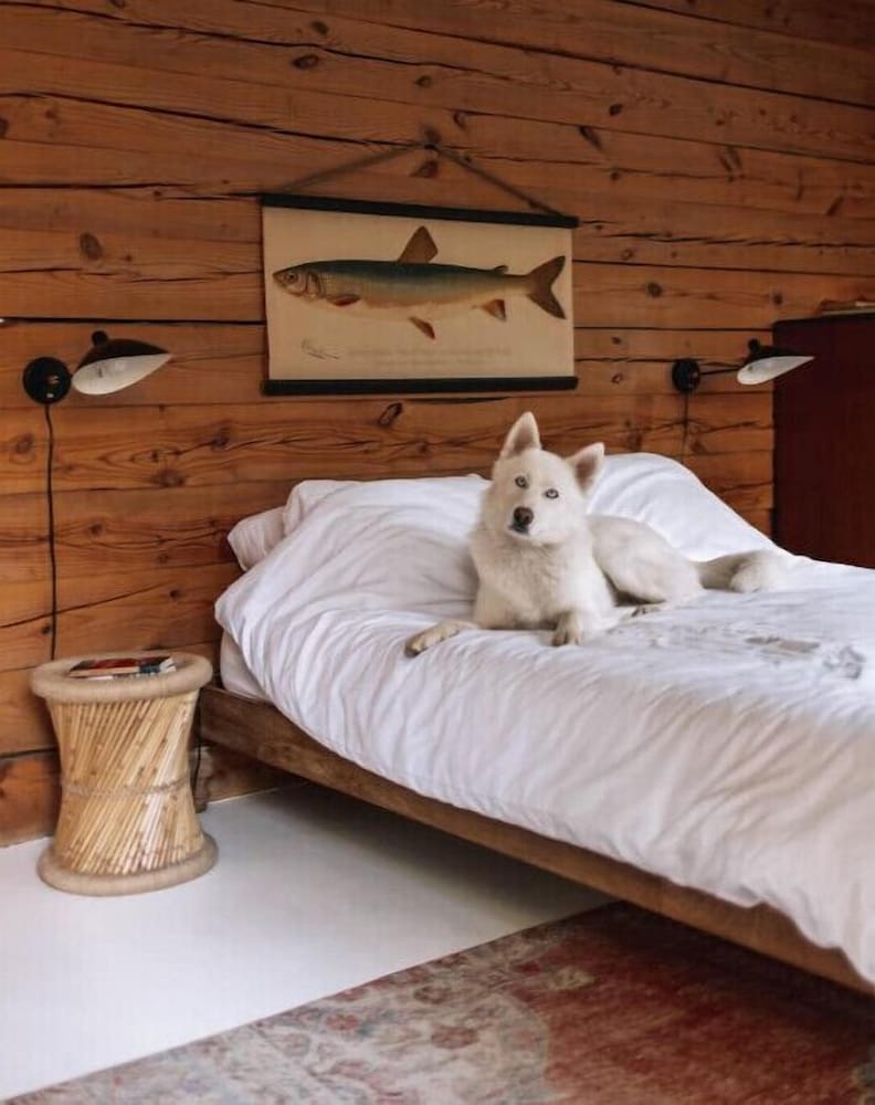 The Log Cabin At Warner's Camp: Hot Tub, Sauna & Swimming Hole - Wilmington, NY
