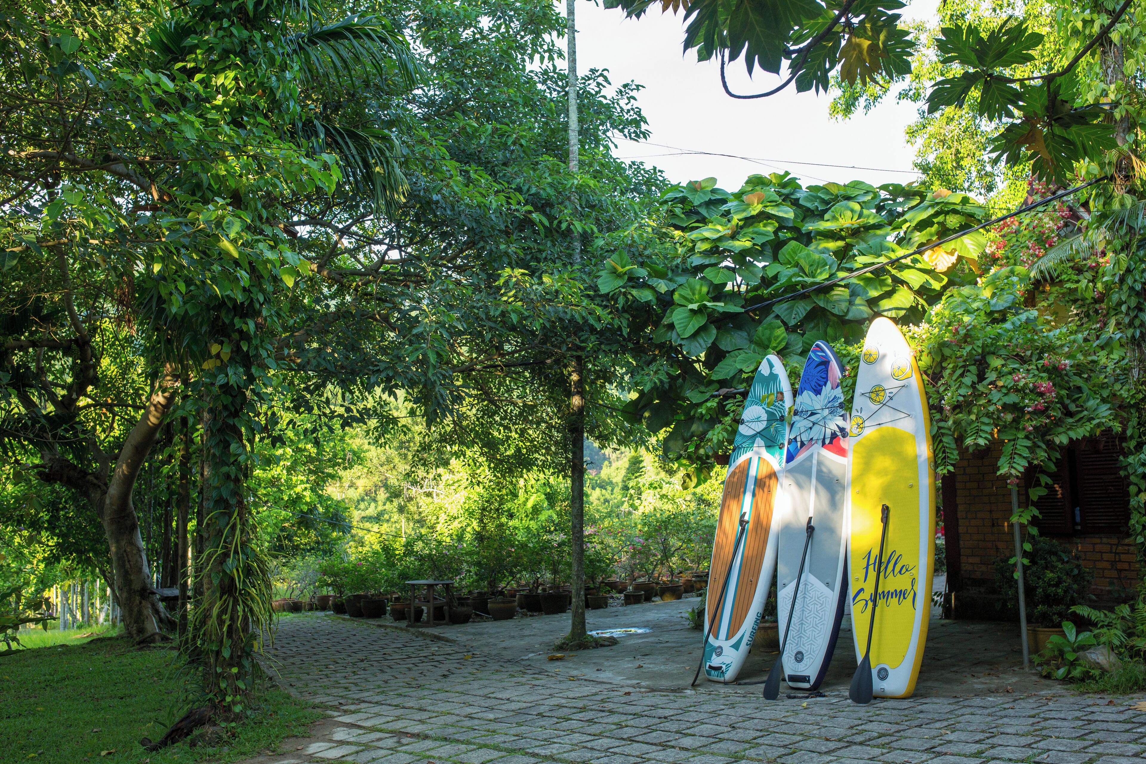 Uma passarela pavimentada bordeada por árvores e três pranchas de surf encostadas em uma parede.