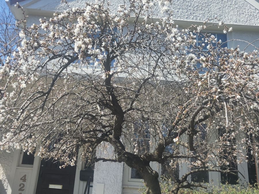 Quarto exclusivo, banheiro privativo, vista para o jardim (2nd Floor) | Fachada