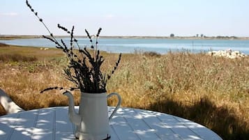 Um jarro de cerâmica branca com uma planta sobre uma mesa branca, com vista para um lago e área gramada.