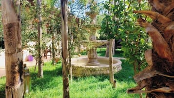 Smart TV 32 polegadas com canais via satélite, TV, lareira