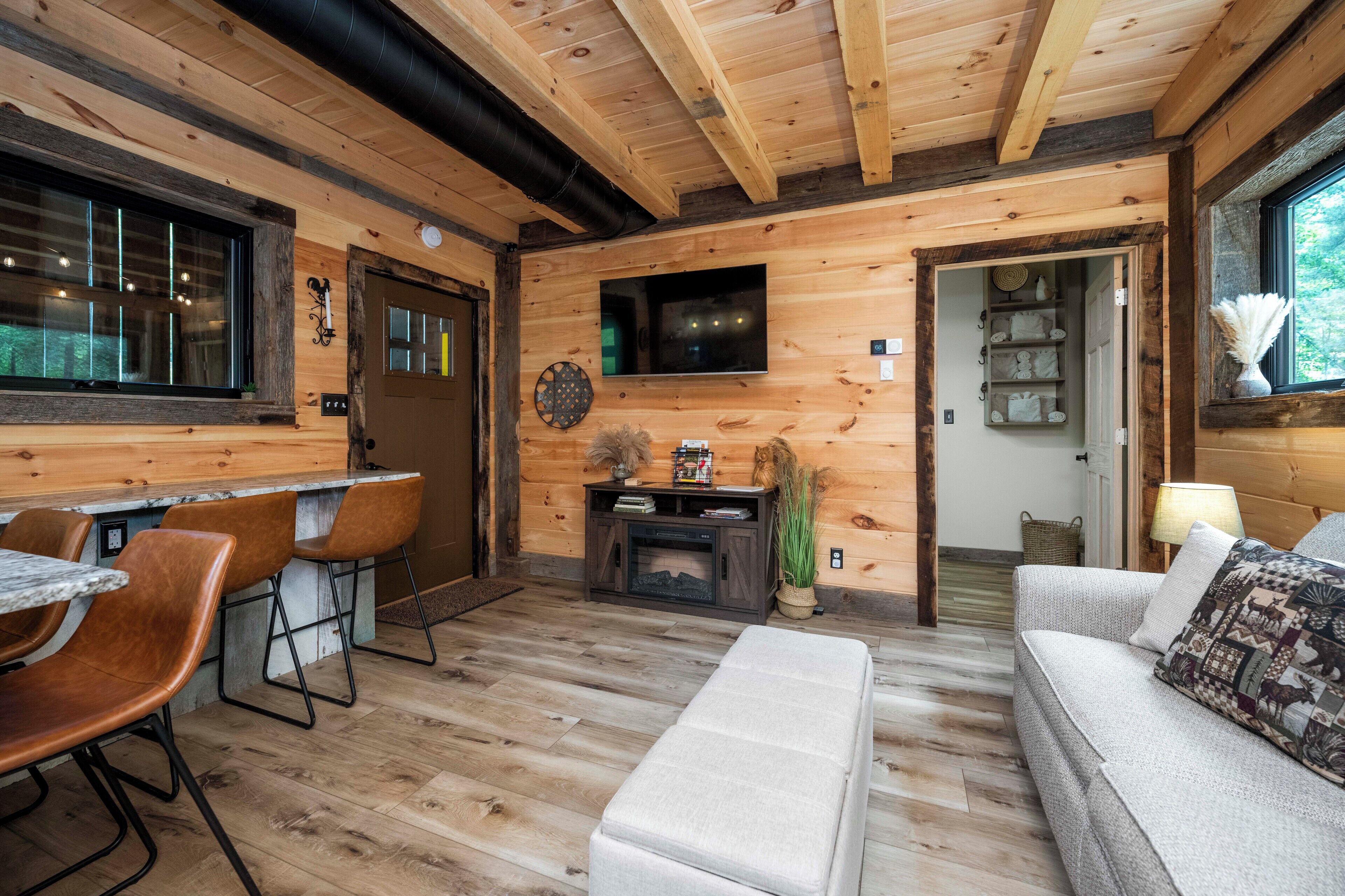 The Barn Owl At Red River Gorge, Kentucky - Kentucky