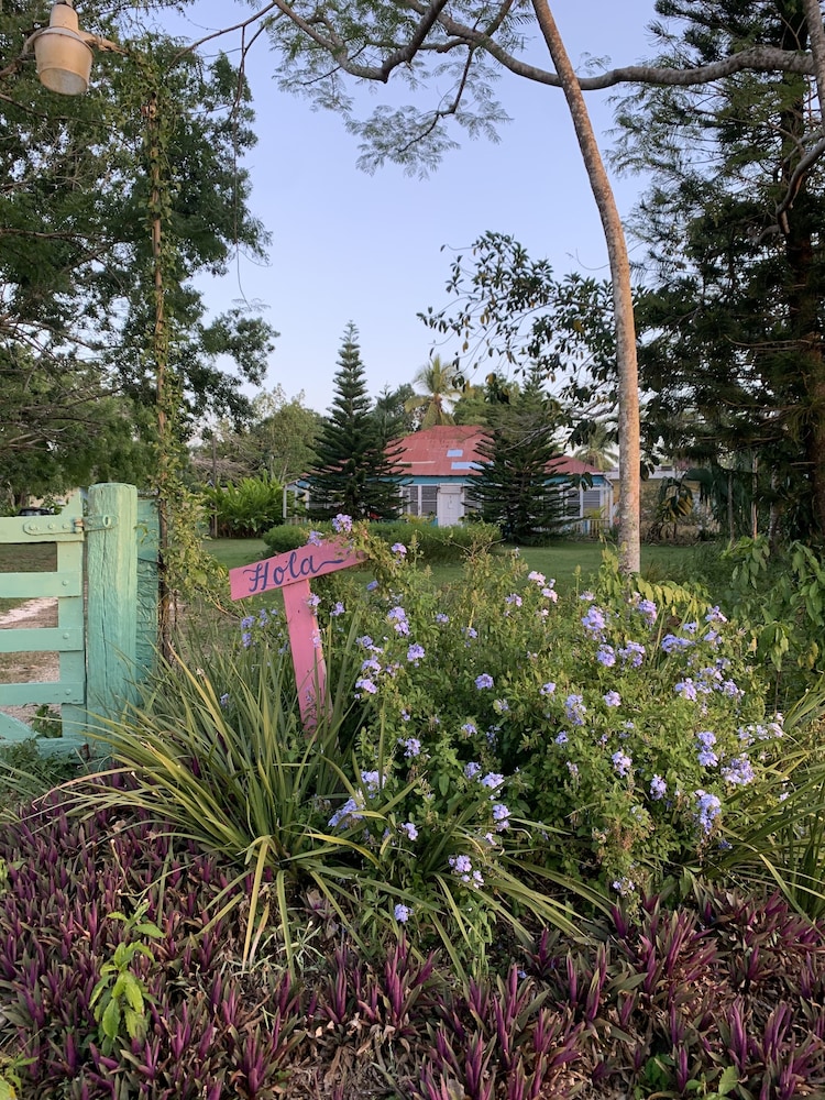 Campito Loving - Caribbean