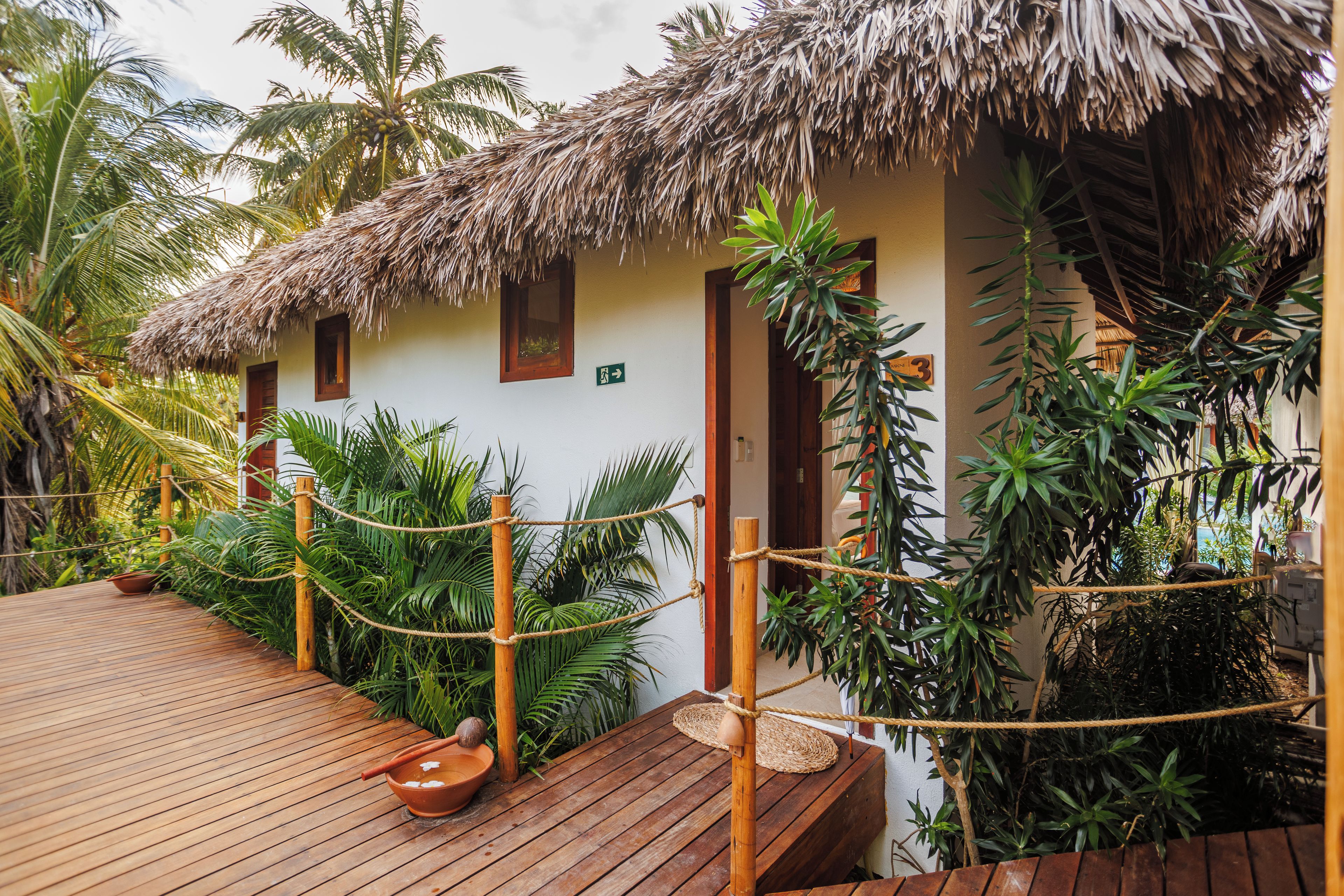 Uma cabana com telhado de palha e deck de madeira, rodeada por plantas tropicais.