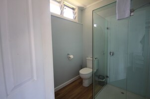 Casa de banho com sanita, cabine de duche em vidro e chão em madeira.