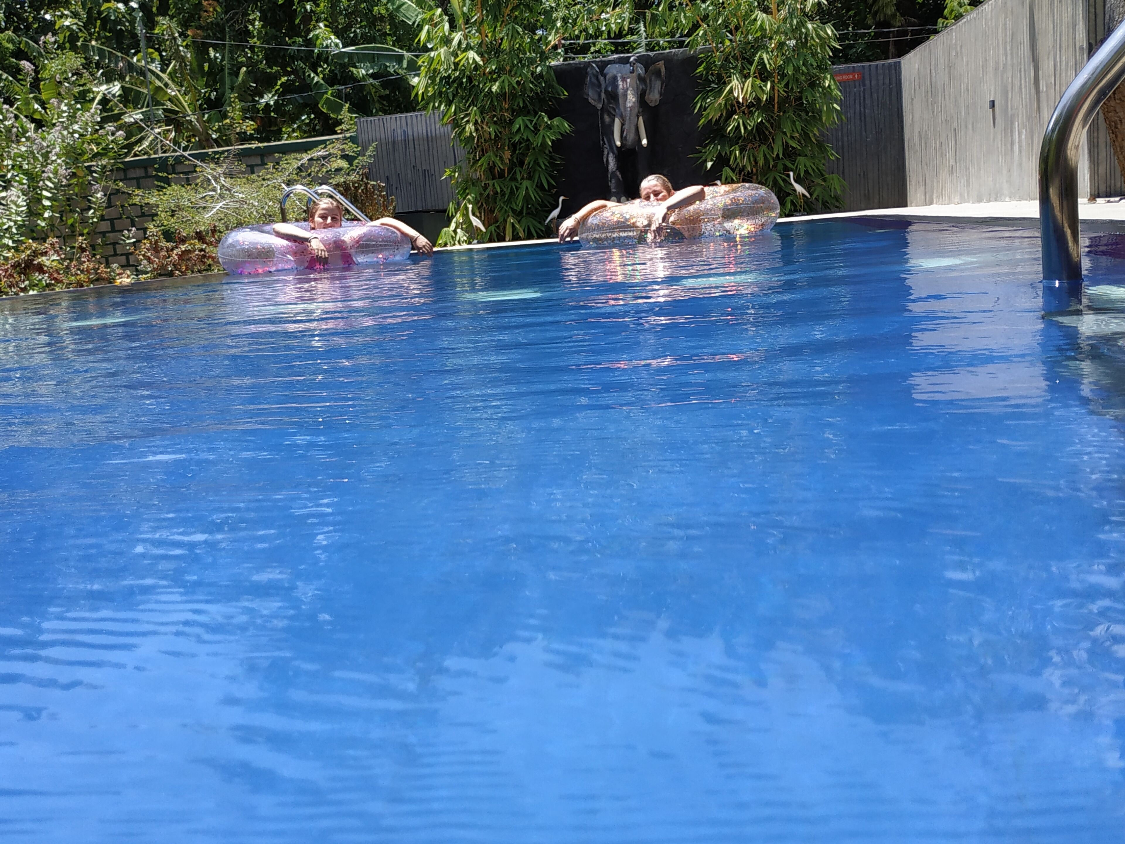 Piscina com água azul cristalina, rodeada por uma cerca de madeira e vegetação.