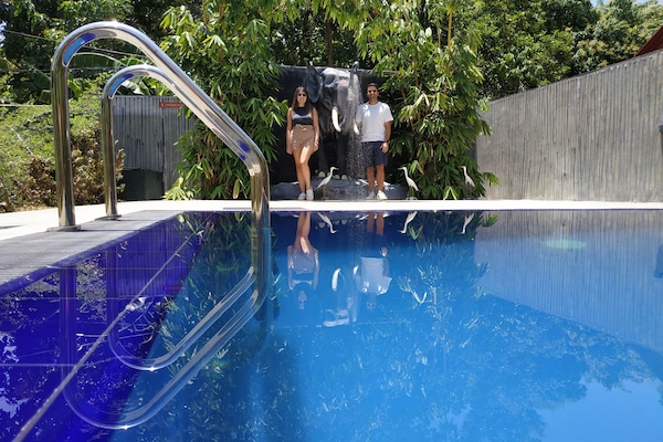 Piscina externa