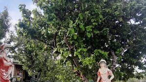 Uma estátua de mulher num vestido vermelho, em cima de um pedestal de pedra, com um letreiro a indicar 'ERAY PANSiyon' e números de contacto.
