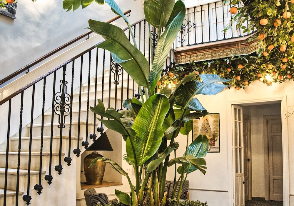 Casa Levante - Arcos de la Frontera
