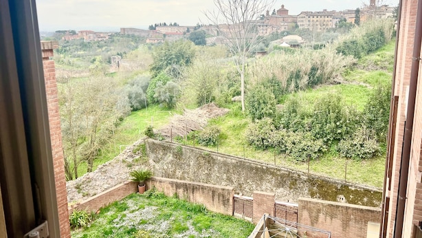 Vista da janela sobre paisagem verde com muro de tijolos e pequeno jardim.