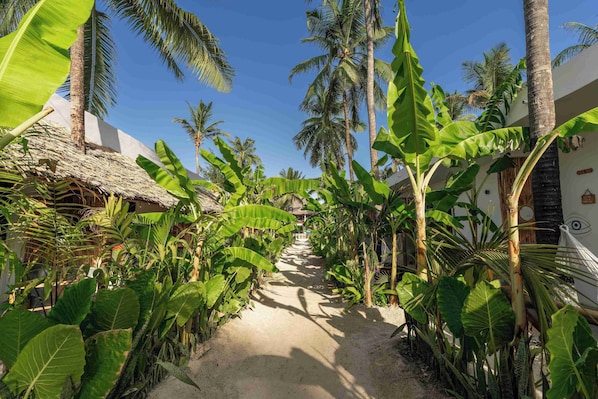 Um caminho bordeado por plantas tropicais e palmeiras, que leva a um edifício com telhado de palha e fachada branca.