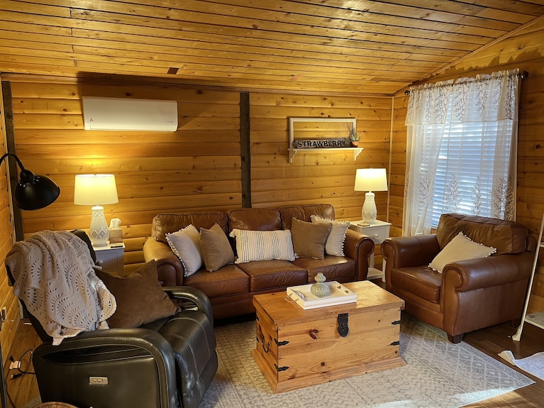 Mistletoe Cabin W/fenced Yard, Jacuzzi & Fire Pit - Arizona
