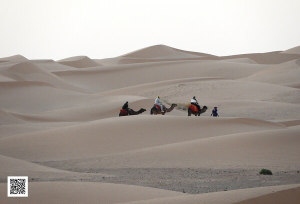 Luxury  Saf Saf Camp - Maroc