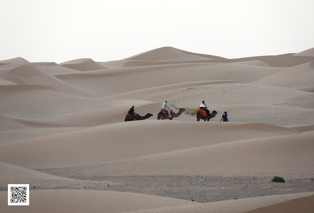 Luxury Saf Saf Camp - Maroc