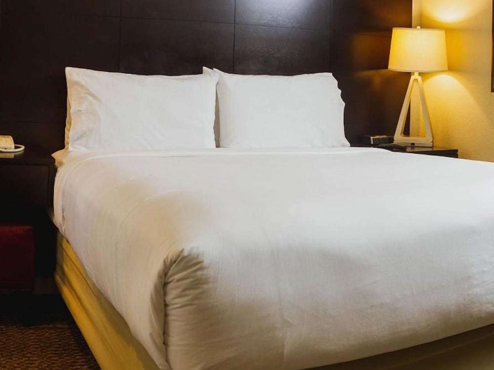 Your Home Away From Home! 2 Relaxing Units, Free Breakfast, Pet-friendly! - San José