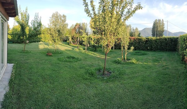 La Rosa Nel Verde - Lucca