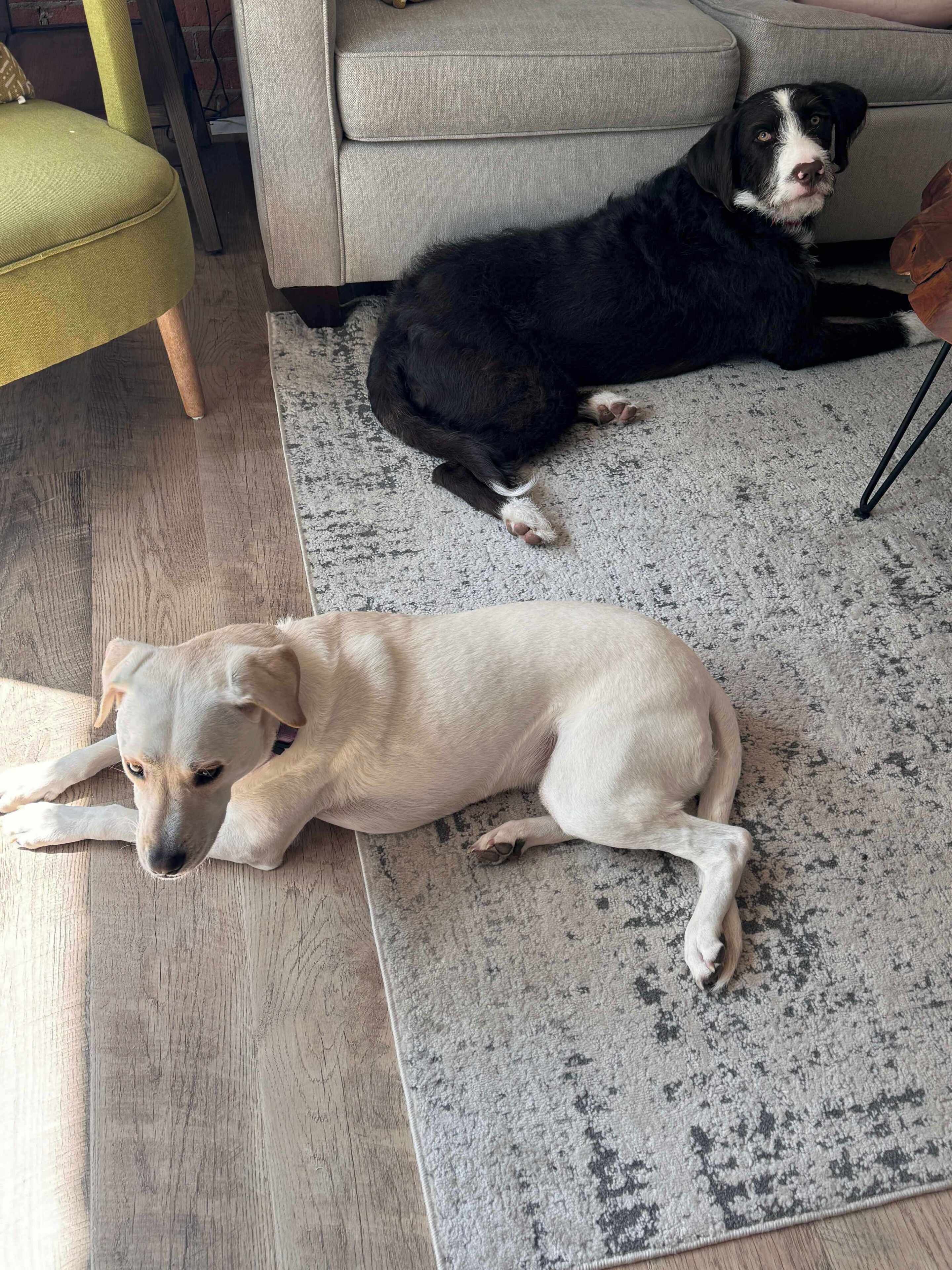 Close 2 Dollywood~rustic~sleeps 6~family Fun - The Island in Pigeon Forge, Pigeon Forge