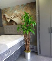 Apartamento standard | 1 quarto, Wi-Fi de cortesia