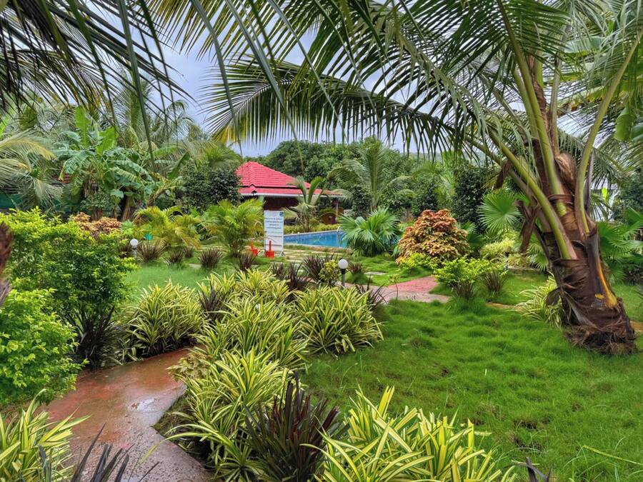 Vista para o jardim