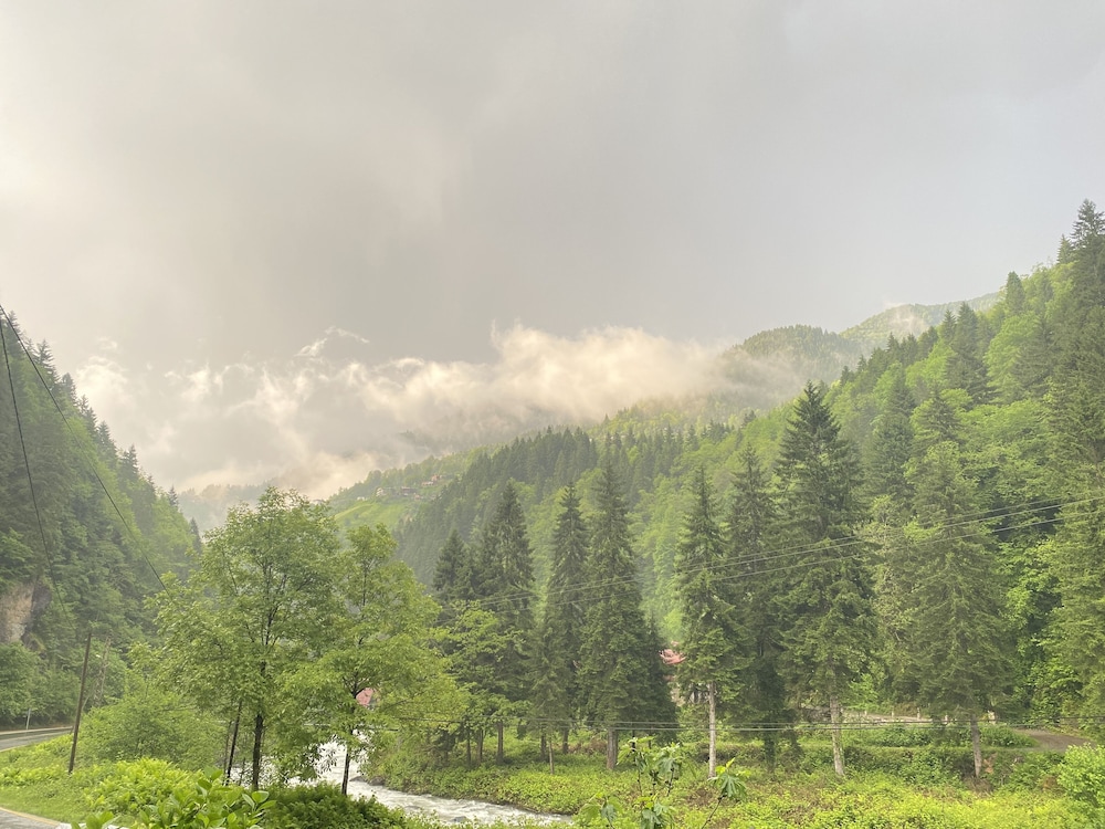 Nanus Ayder Suit - Artvin