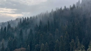 Vista para a região