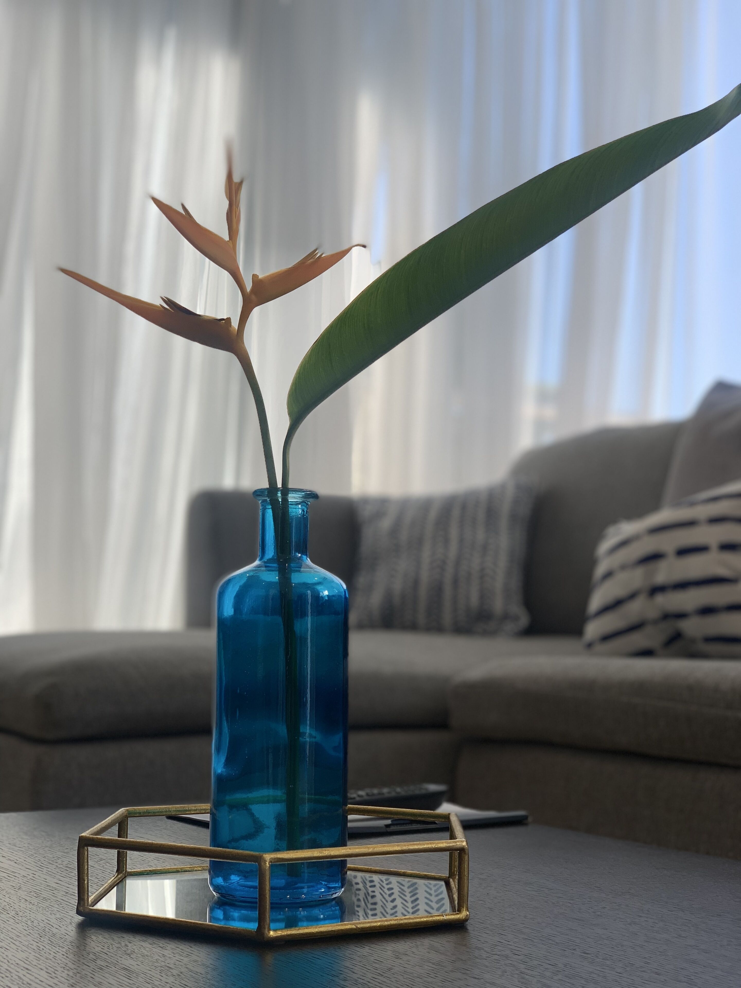 Luxury Two Bedroom Private Home/ Your Ideal Way To Vacation - Grenada