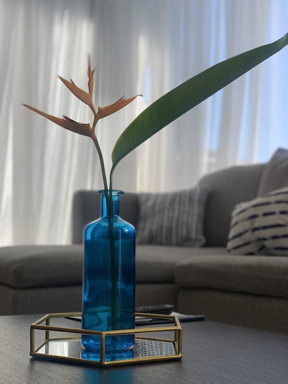 Luxury Two Bedroom Private Home/ Your Ideal Way To Vacation - Grenada