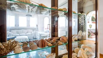 Quarto com uma vitrine de vidro cheia de conchas do mar, um sofá branco e um piso estampado.