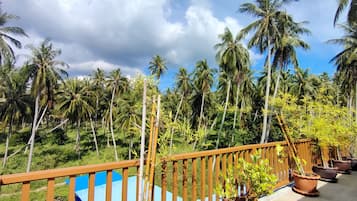 Suíte estúdio luxo, vista para o parque | Vista para o parque