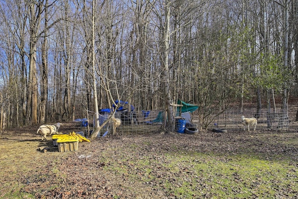 Pet-friendly Home W/ Grill & Farm In Meadowview! - Abingdon, VA