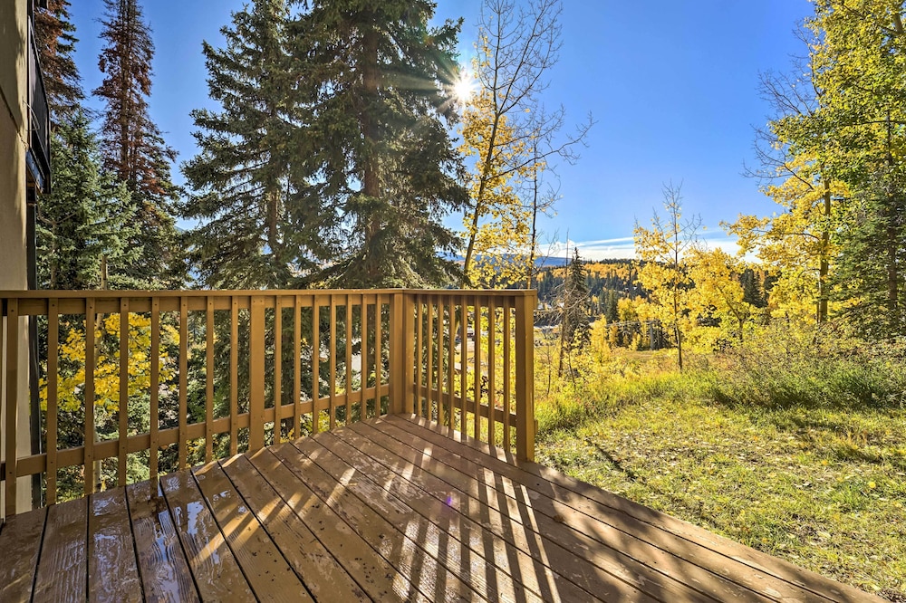 Slope Side Durango Condo At Purgatory Resort! - Rico, CO