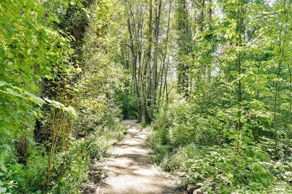 Charming Portland Home, Walk To Light Rail! - Happy Valley, OR