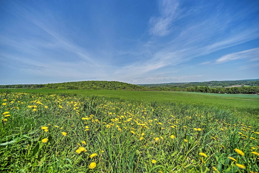 Country Escape W/ Sauna, 10 Mi To Cooperstown - Cooperstown, NY