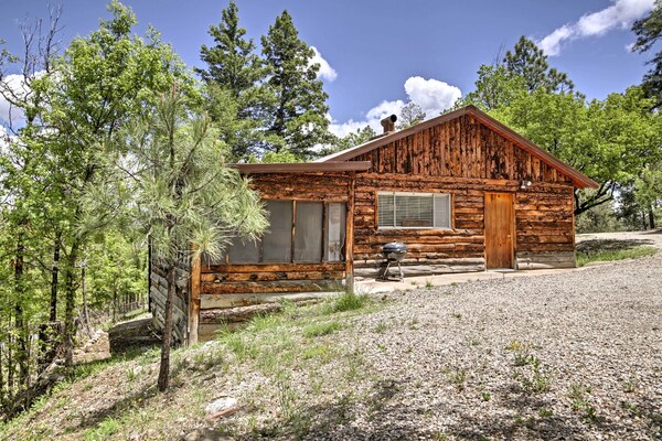 Ruidoso Cabin W/ Sunroom, Surrounded By Wildlife! - Ruidoso, NM