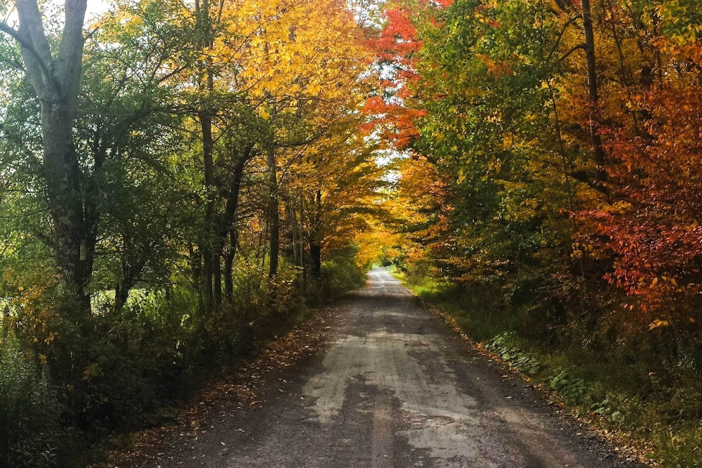 Private Dog-friendly Home: 3 Mi To Elk Mountain - Thompson, PA