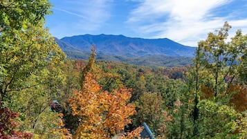 Casa (1 Bedroom) | Interior