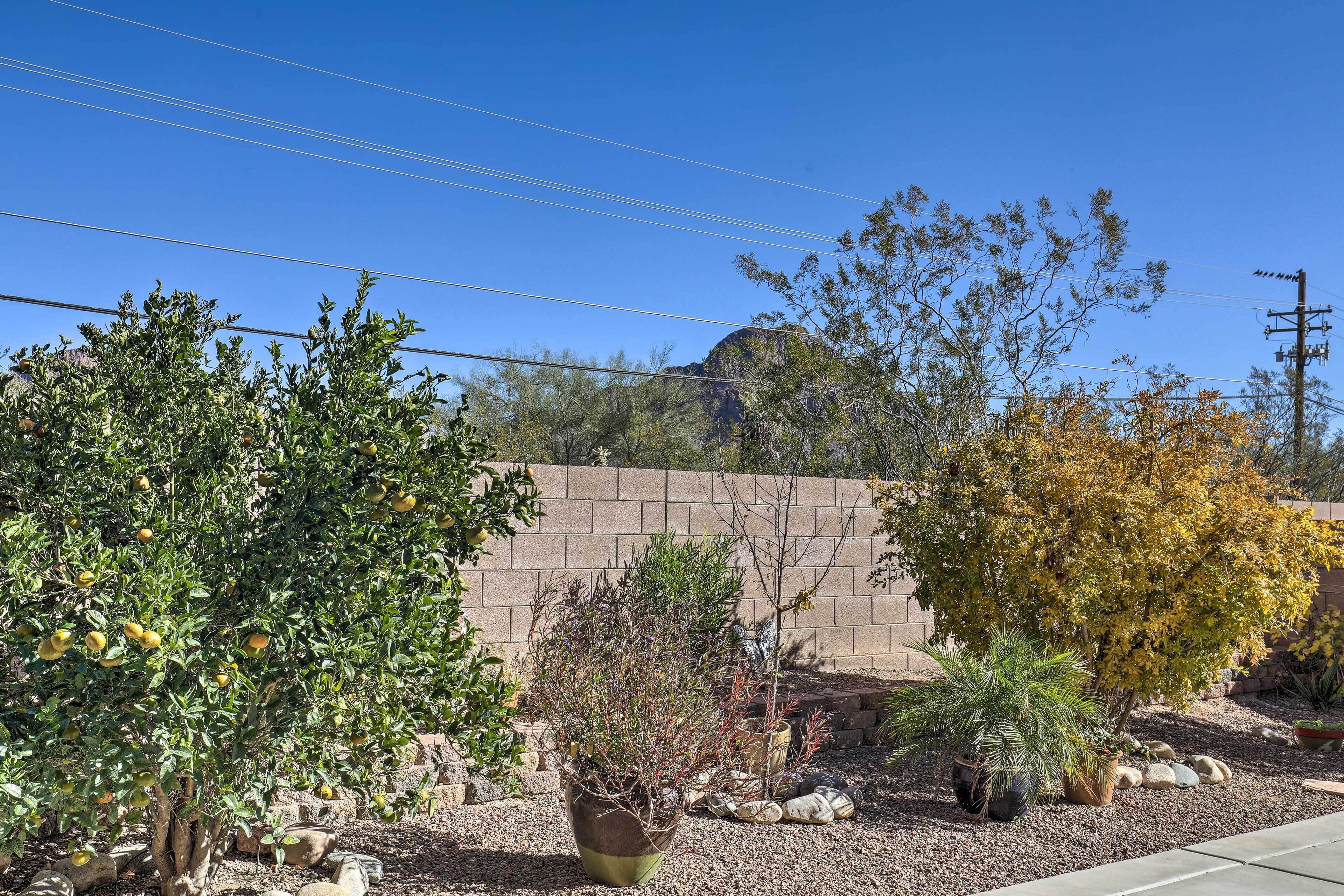 Casa (3 Bedrooms) | Interior