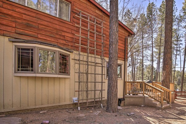 Near Tonto National Forest: Dog-friendly Cabin! - Christopher Creek, AZ