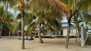 Um resort à beira-mar com palmeiras, espreguiçadeiras e área de piscina.