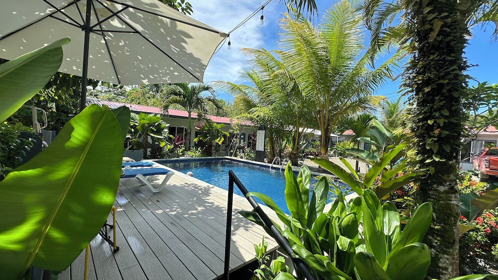 Rooms & Pool Macaws - Uvita