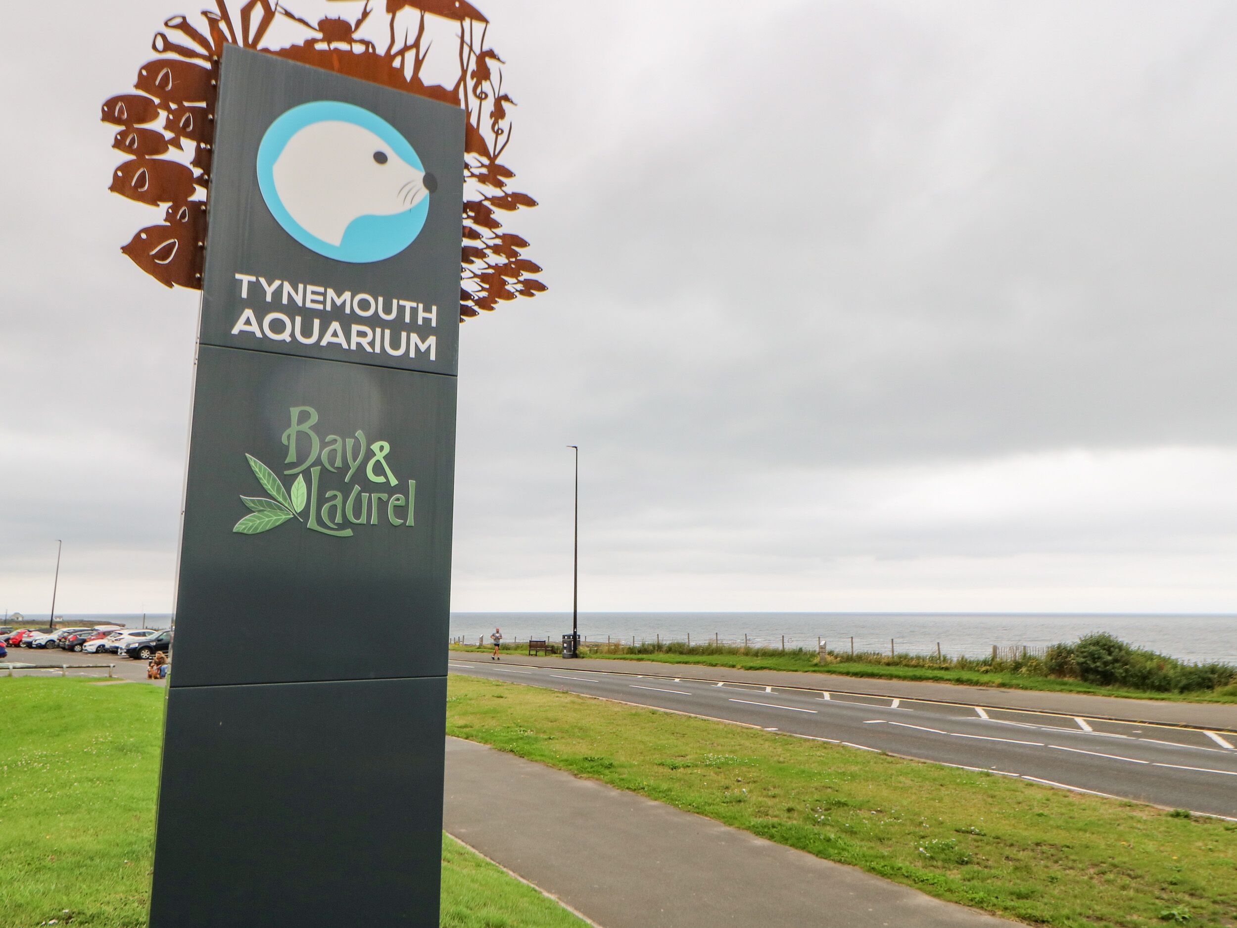 Casa de campo | Parte interna